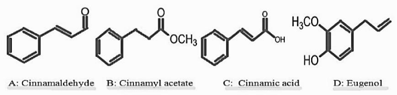 Cinnamon: A potent nutraceutical agent for the protection of the ...