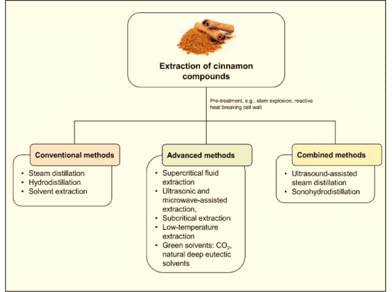 Cinnamon: A potent nutraceutical agent for the protection of the ...